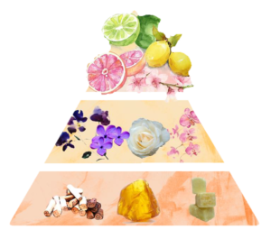 What are the ingredients and chemical structures of a perfume? – Delta ...